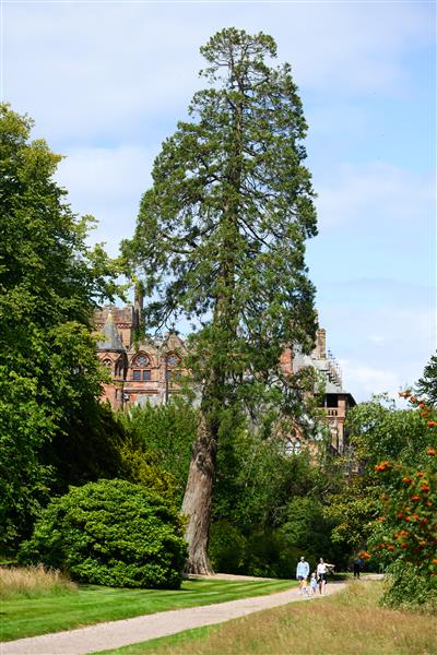Mount Stuart
